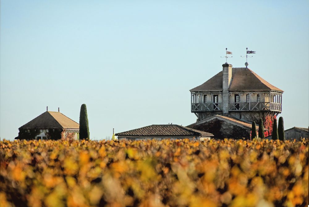 L’expérience Grand Cru
